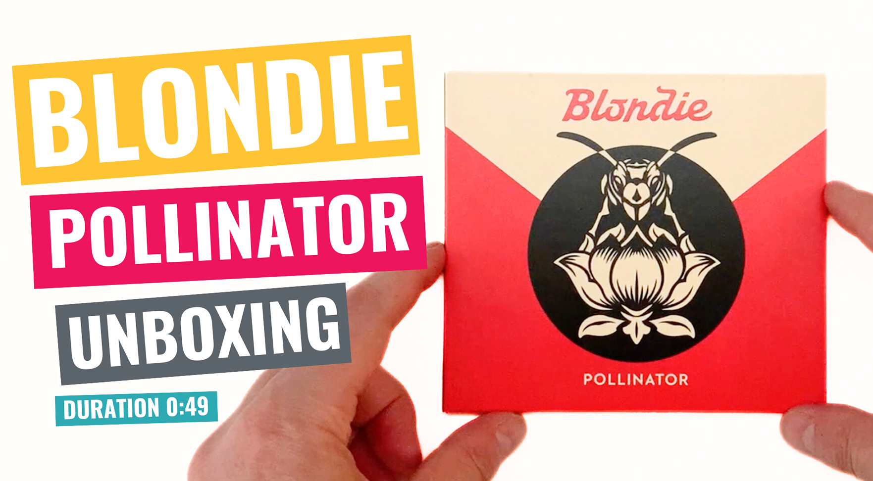 Blondie Pollinator 2025 | Blondie Nouvel Album 2025 – CREM